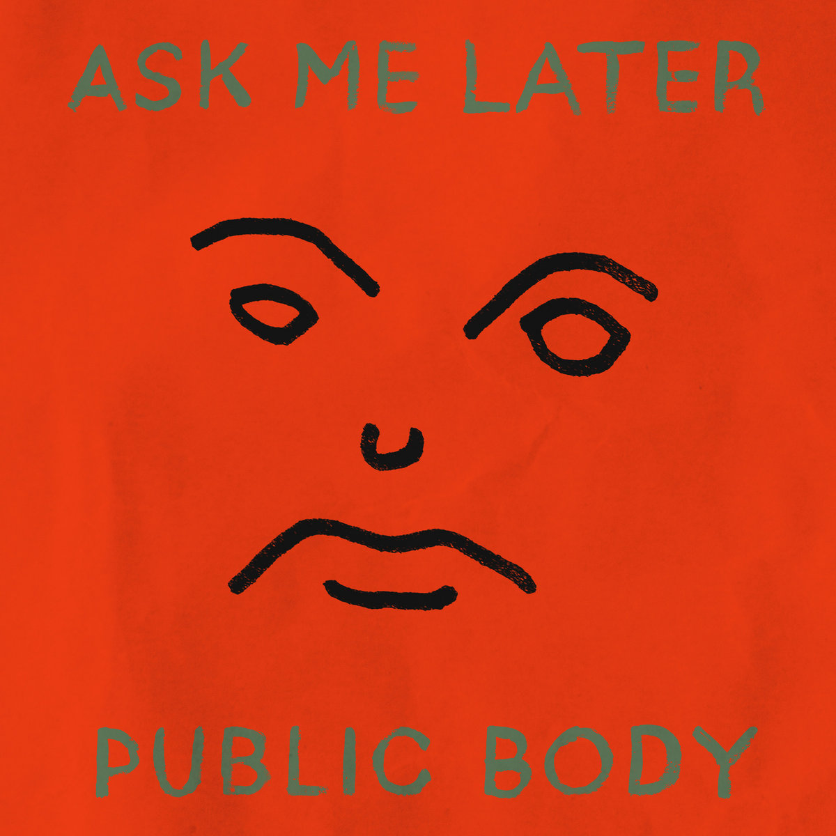 Ask Me Later | Public Body