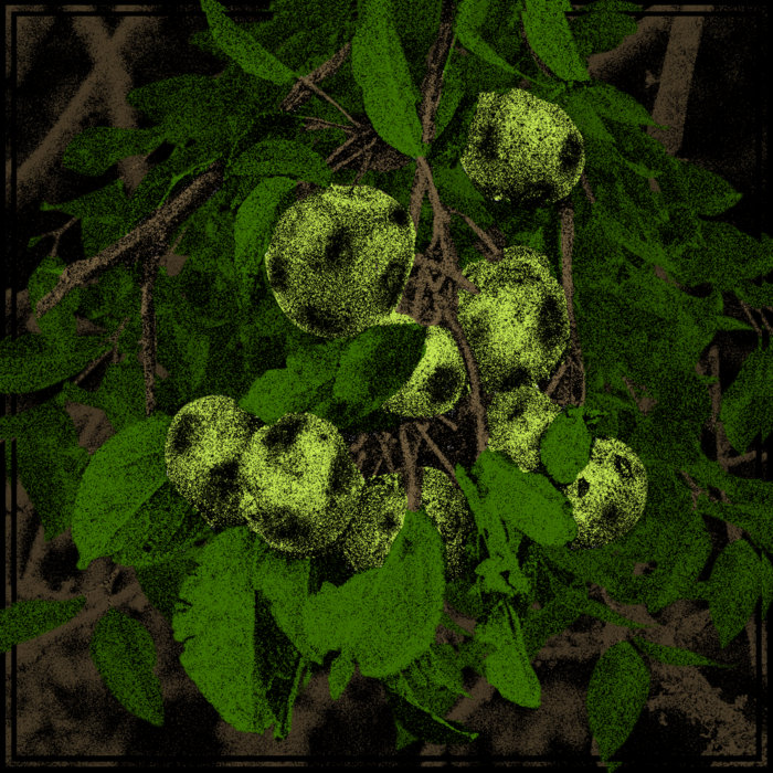 Apples / Flaming Fire | The Heavens