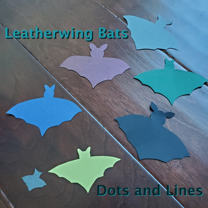 Leatherwing Bats | Dots and Lines