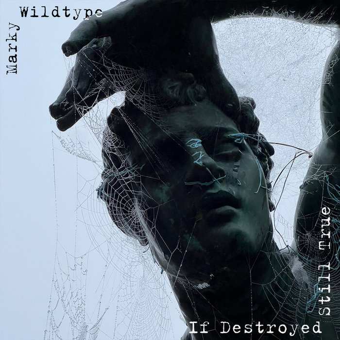 If Destroyed Still True | marky wildtype