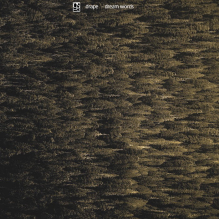 Dream Words | DRAPE