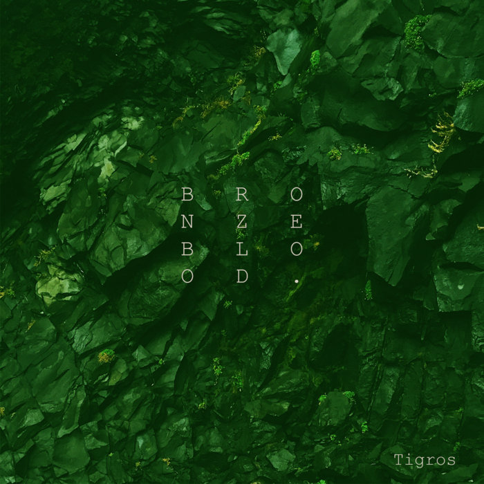 Bronze Blood | Tigros