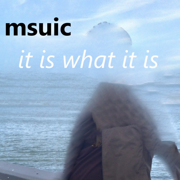 it is what it is | msuic