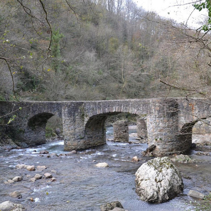 Scottish Castles | DOT