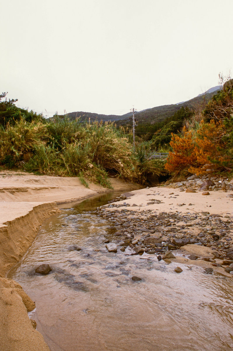Small Estuary In Japan | vividnoise
