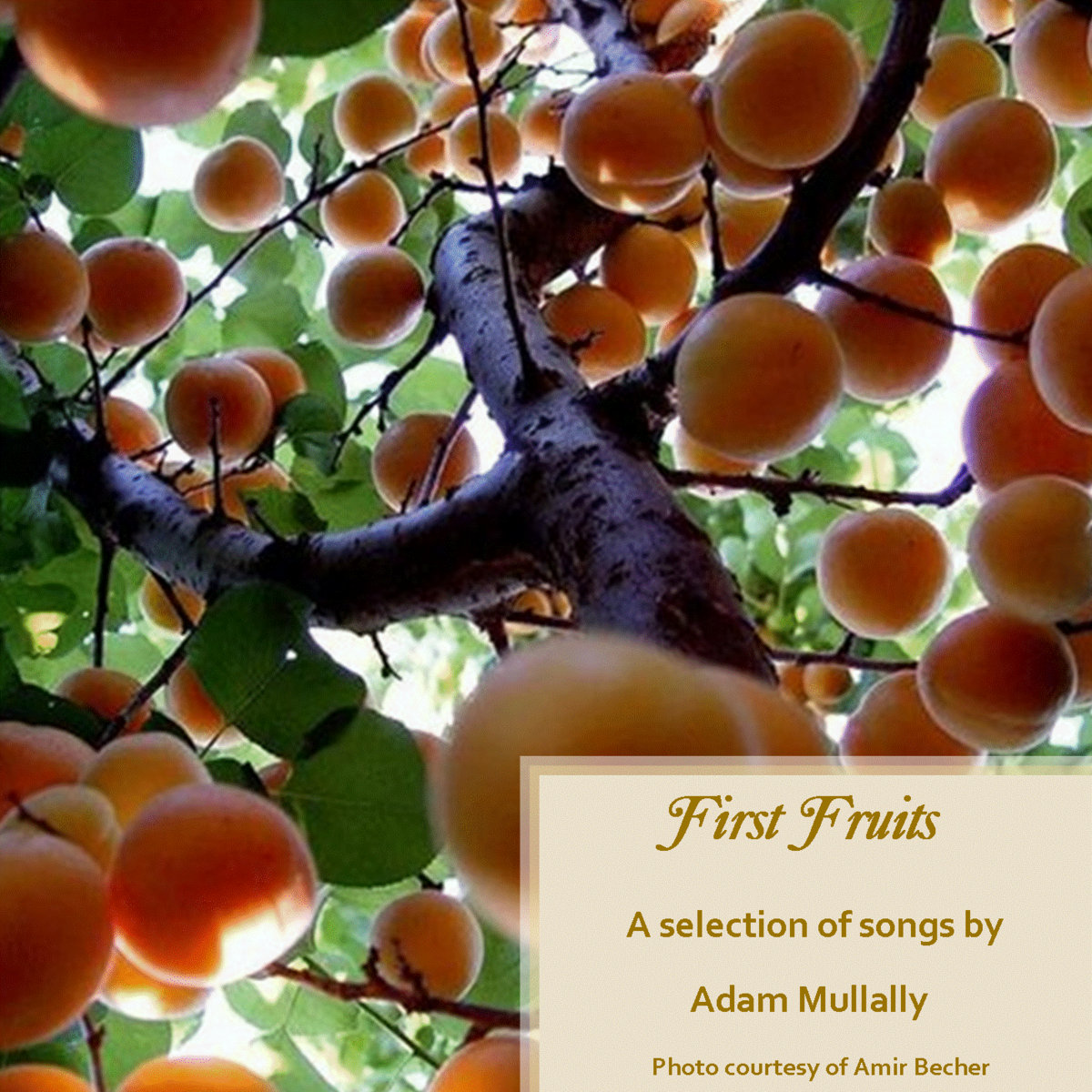 First Fruits | Adam Mullally