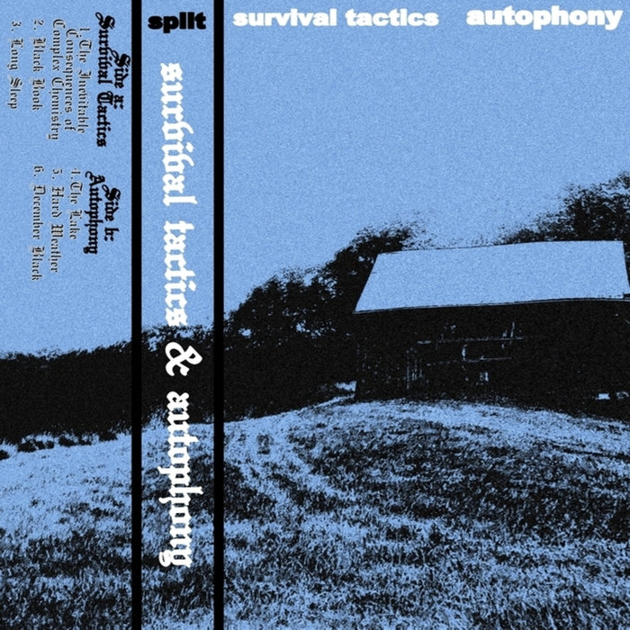 split | Survival Tactics