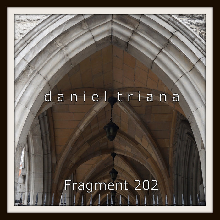Fragment 202 | Daniel Triana