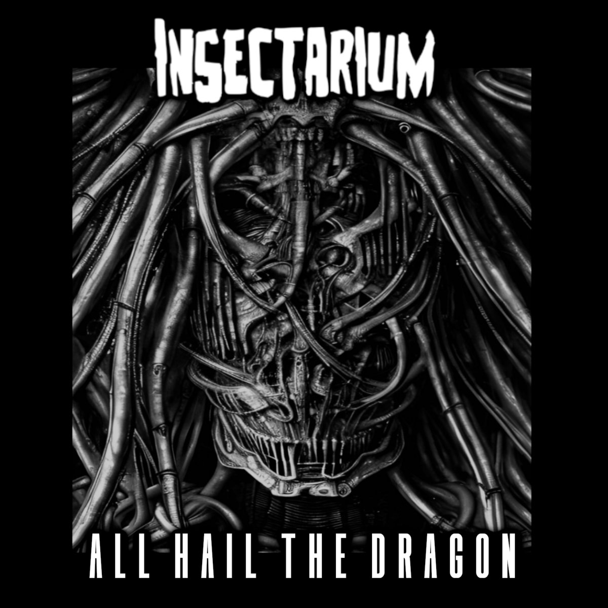 all hail the dragon | insectarium