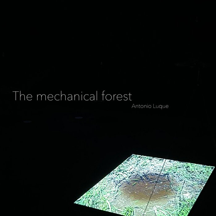 The Mechanical Forest | Antonio Luque