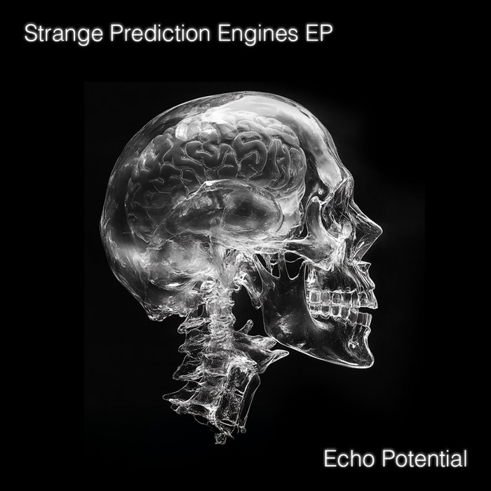 Strange prediction engines | Echo Potential