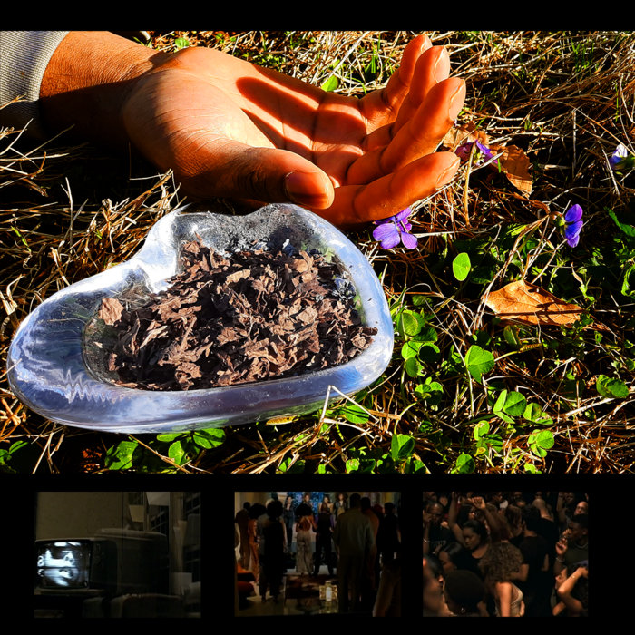 A Flash Flood Of Color | Pursuing Paradise | Virtua94 Records