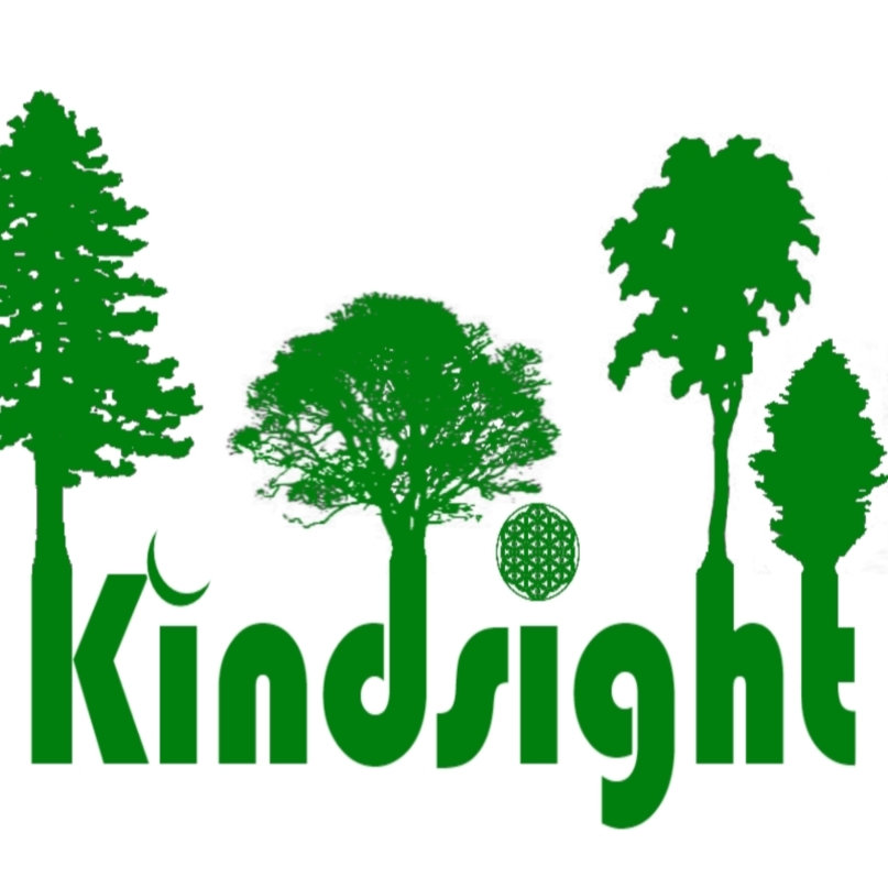 Kindsight live at Cervante's Other Side | Kindsight