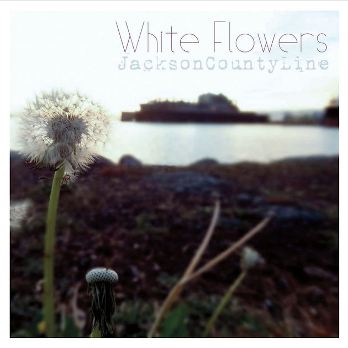 White Flowers - 2017 | Jackson County Line