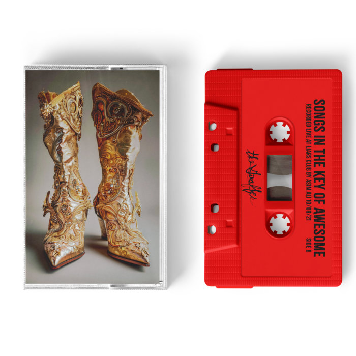 Songs in the key of Awesome | The Giraffes