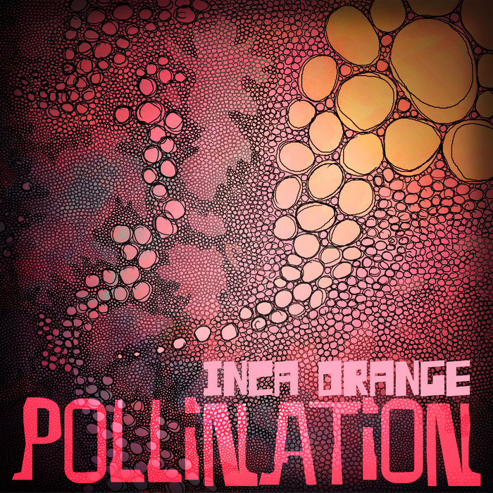Inca Orange | Pollination | Exponential Records