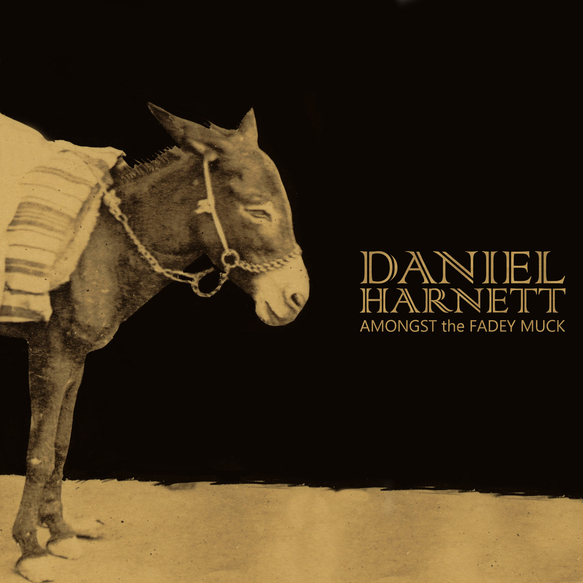 Favorite Friend | Daniel Harnett