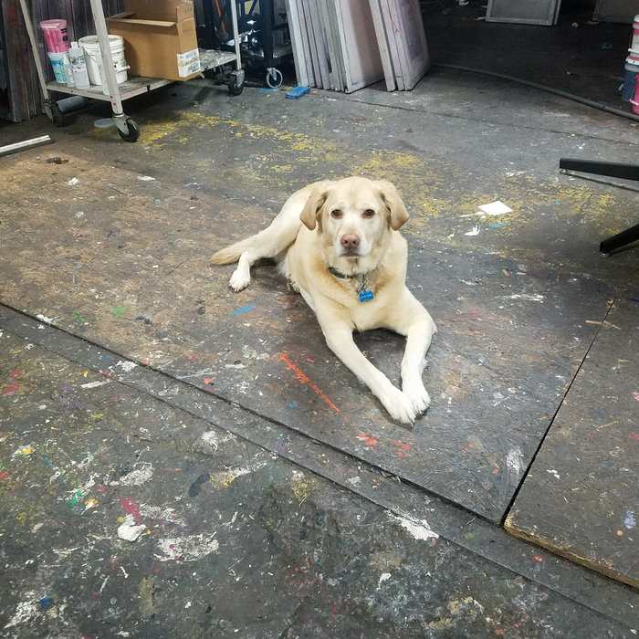 You're My Best Friend | Brandon Carnes