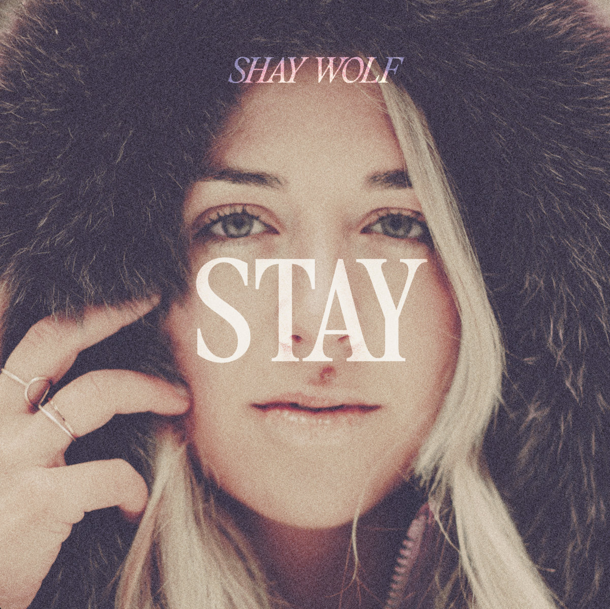 Stay | Shay Wolf