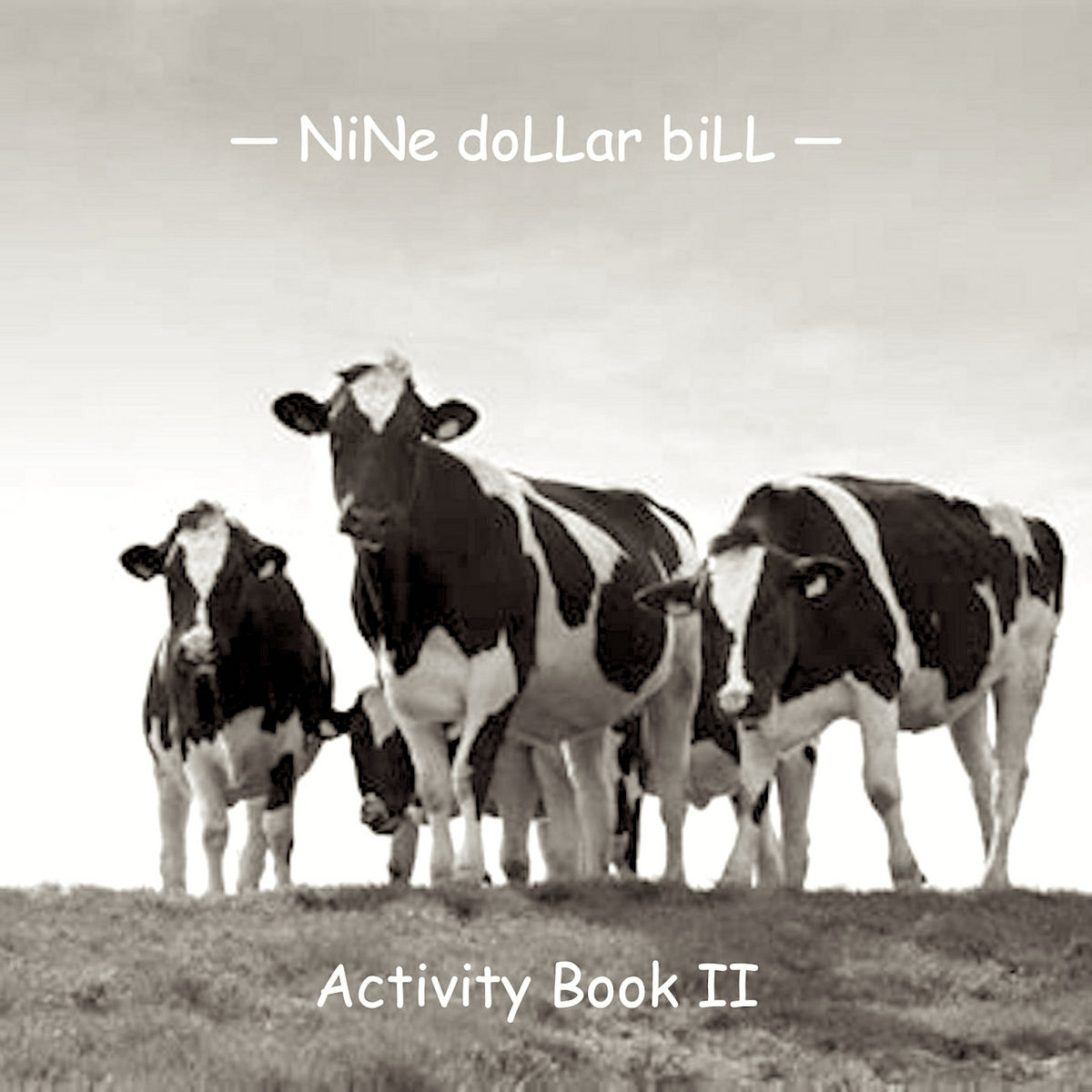 Activity Book 2 | NiNe doLLar biLL | Joe Dolezal