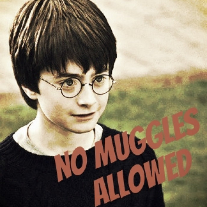 no muggles allowed | Anthony Lapalomento