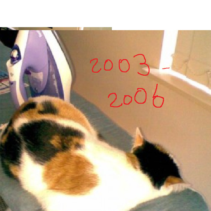 2003-2006 | Rohan Parry | Victory Road