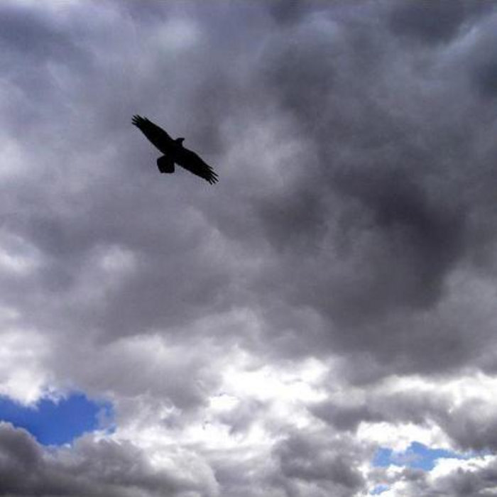 Colossus of Destiny | Colossus of Destiny