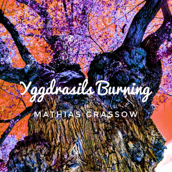 Music | Mathias Grassow