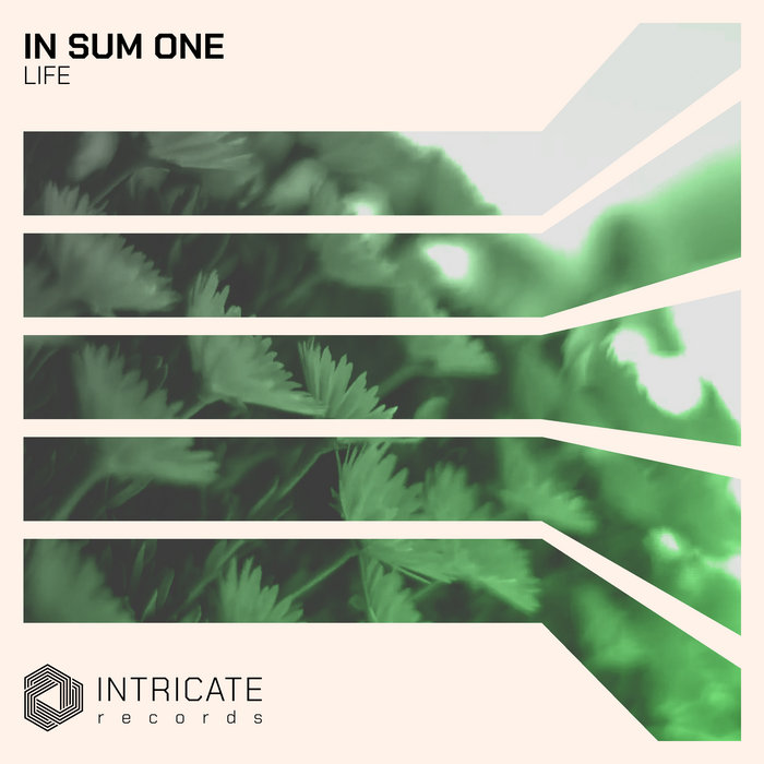 In Sum One - Life | In Sum One | Intricate Records