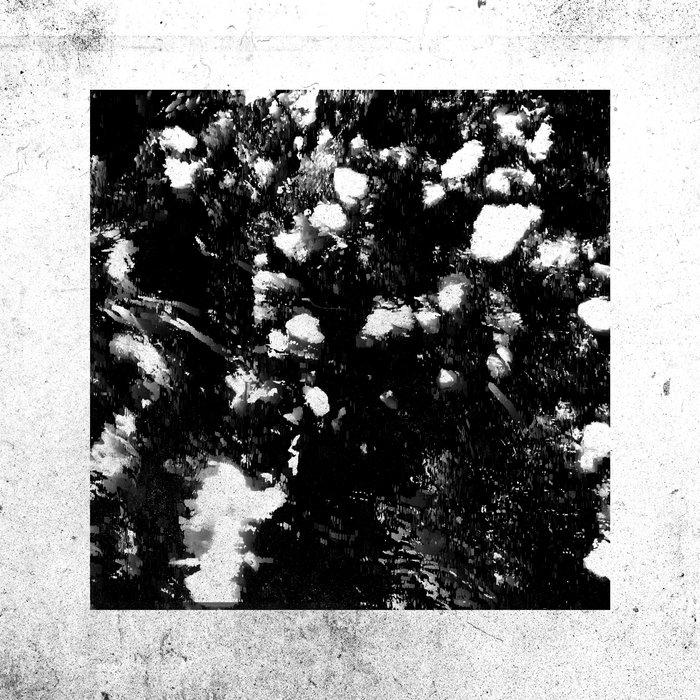 Chiaroscuro (incl. Atomic Moog Remix) | CTAFAD | GSXS