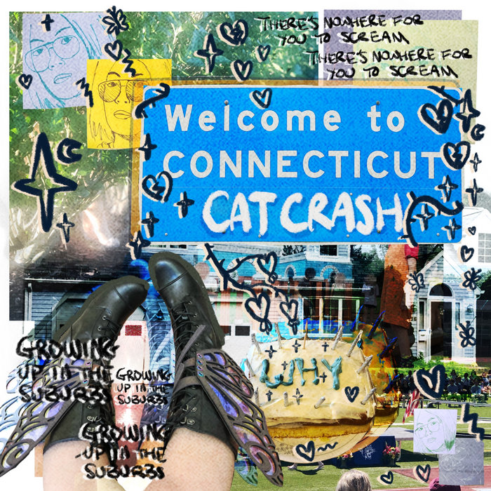 Connecticut | Cat Crash