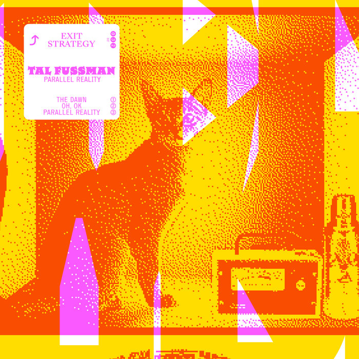 Parallel Reality EP | Tal Fussman