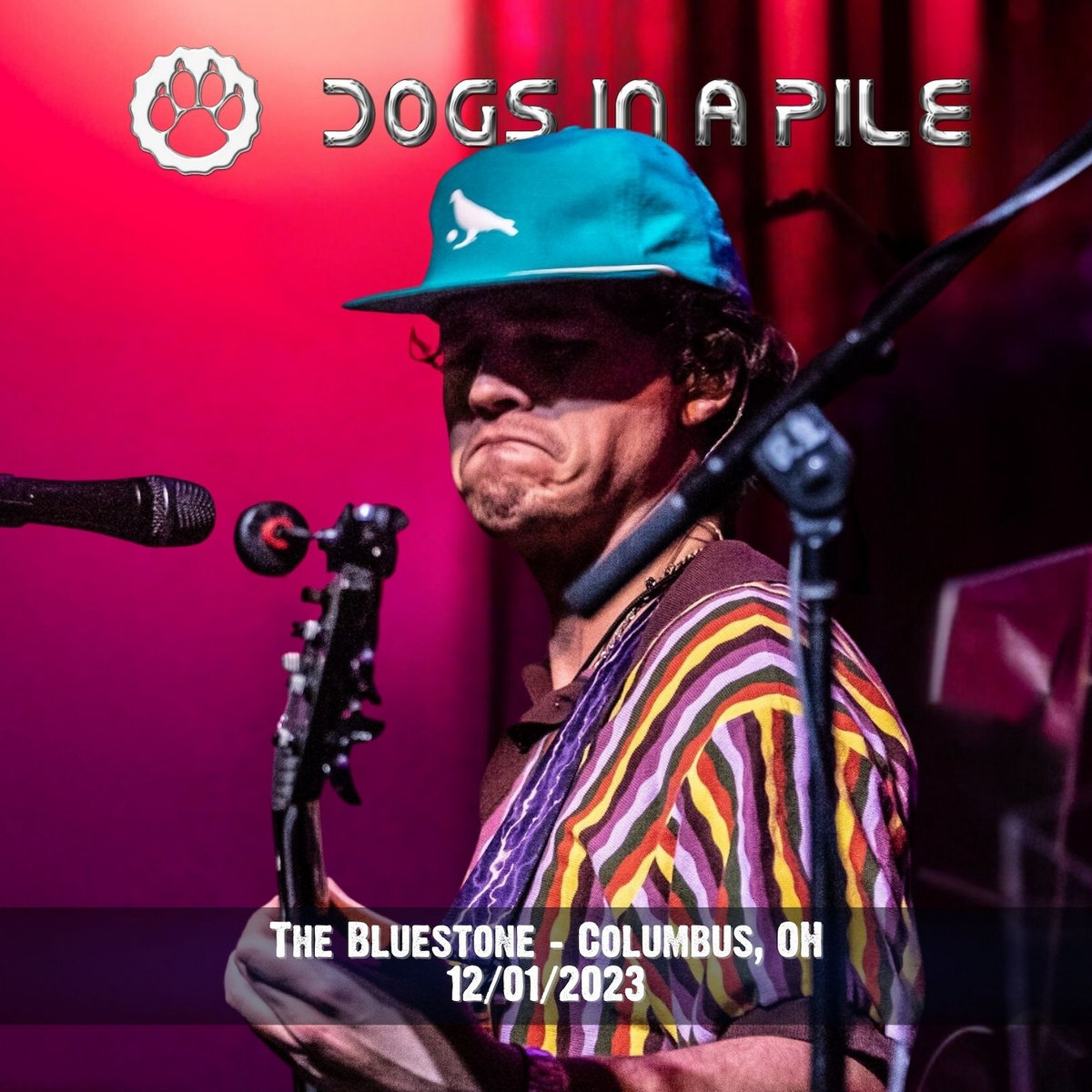 12/01/23 - The Bluestone - Columbus, OH | Dogs In A Pile
