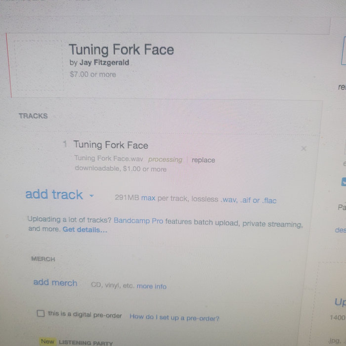 Tuning Fork Face | Jay Fitzgerald