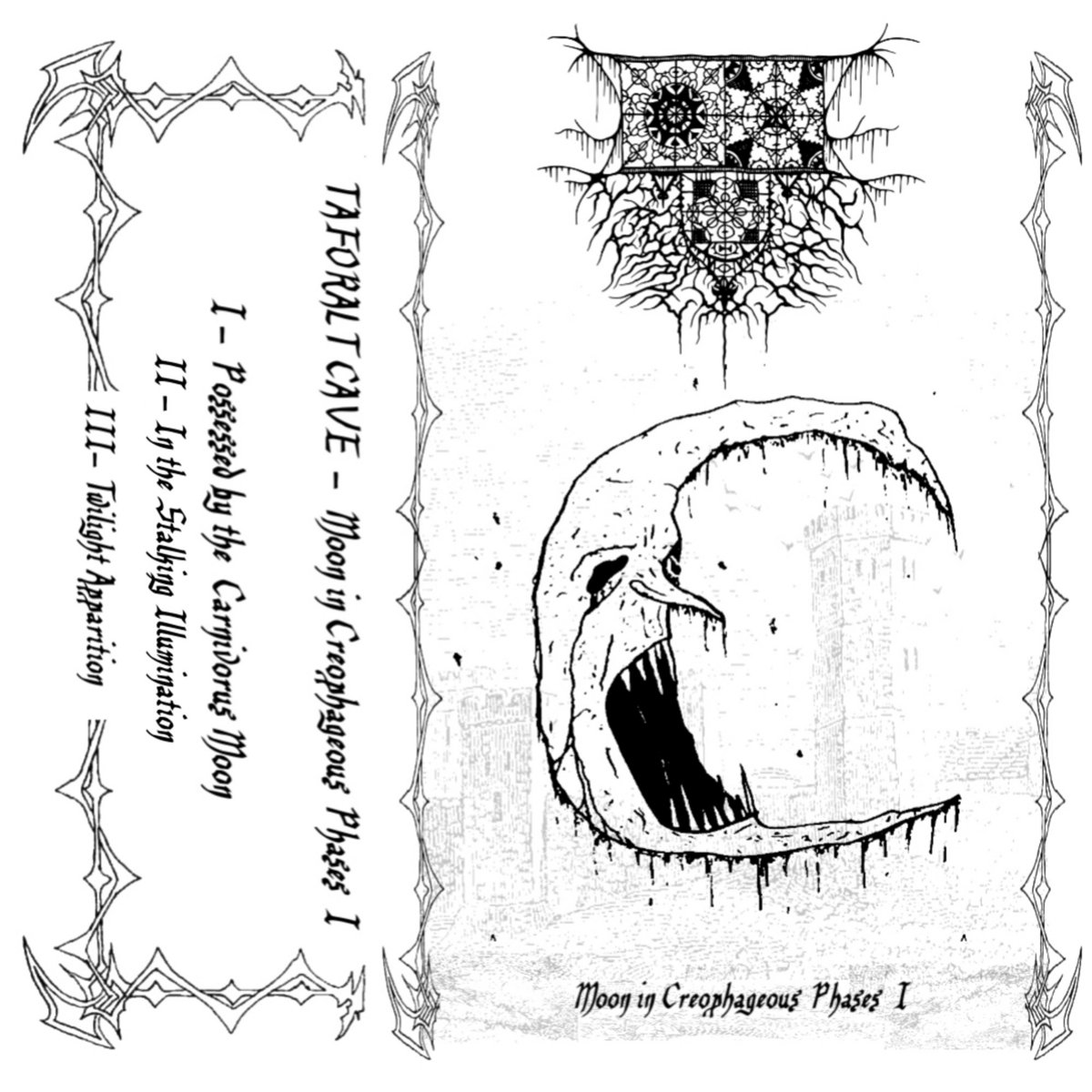 Moon In Creophageous Phases | Taforalt Cave | Dungeon Squid Productions