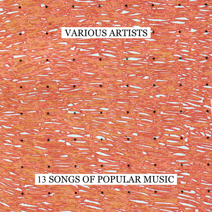 13 songs of popular music | v. a. | non-binary love