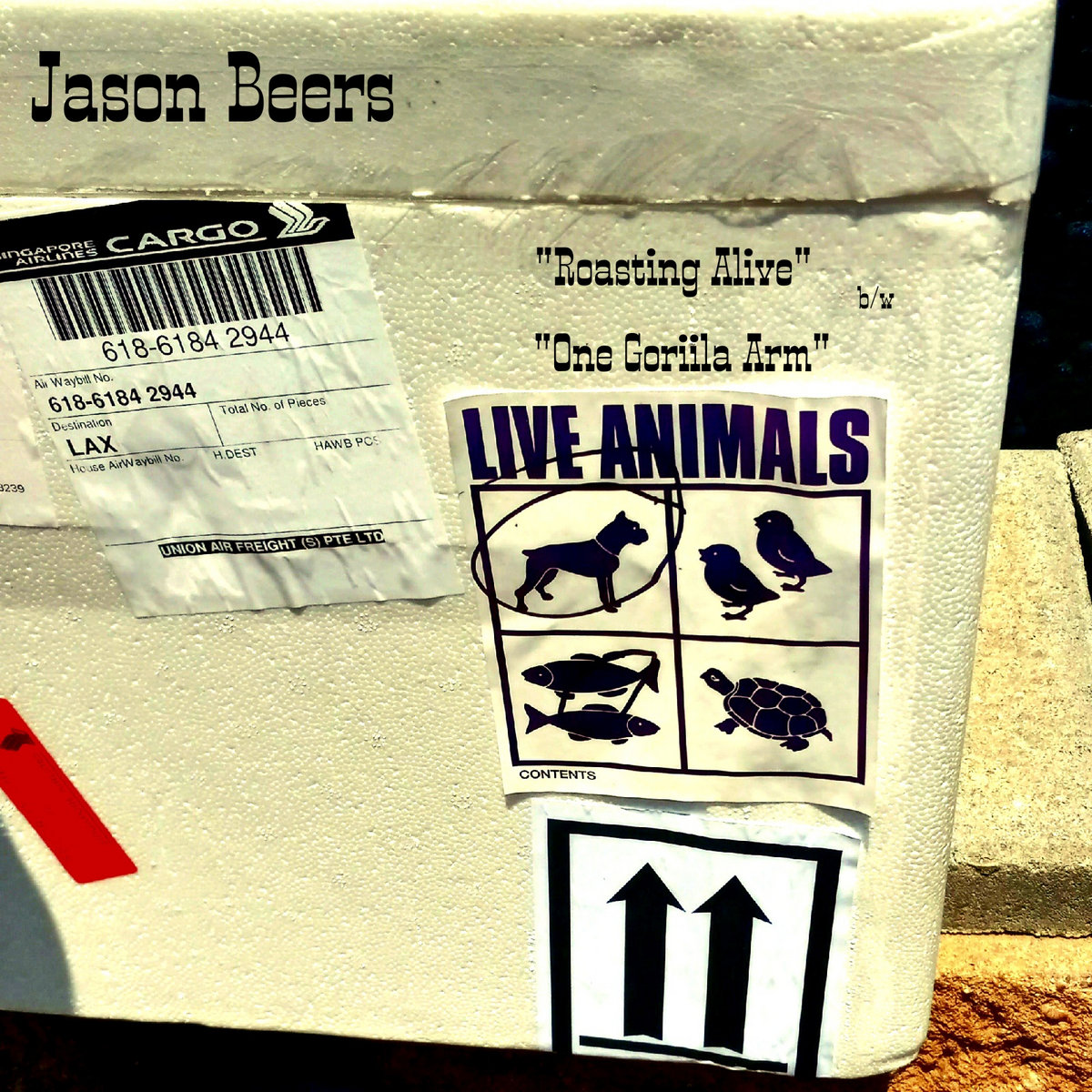 Roasting Alive b/w One Gorilla Arm | Jason Beers