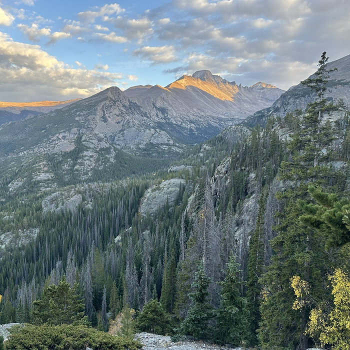 Waiting On You | Jeffrey Hicks