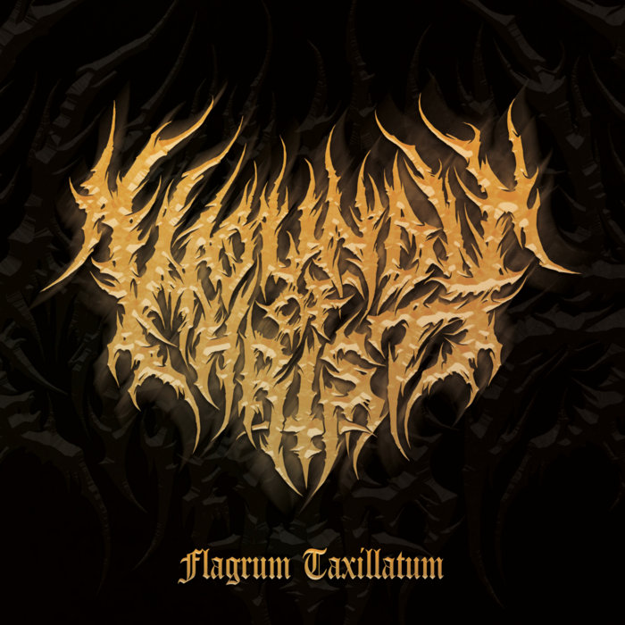 Flagrum Taxillatum | Wounds of Christ