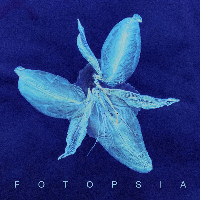 Paper Tears | Fotopsia | V.C.H.