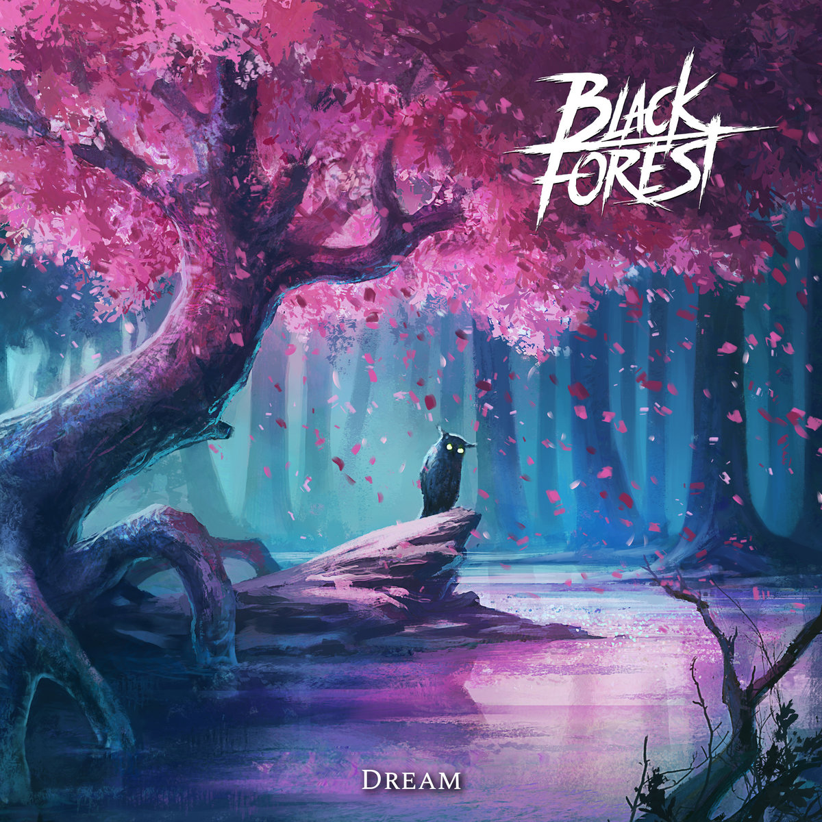 Dream | Black Forest