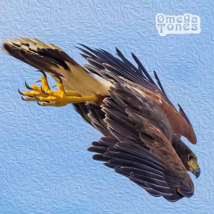 Hawk Dive | Omega Tones