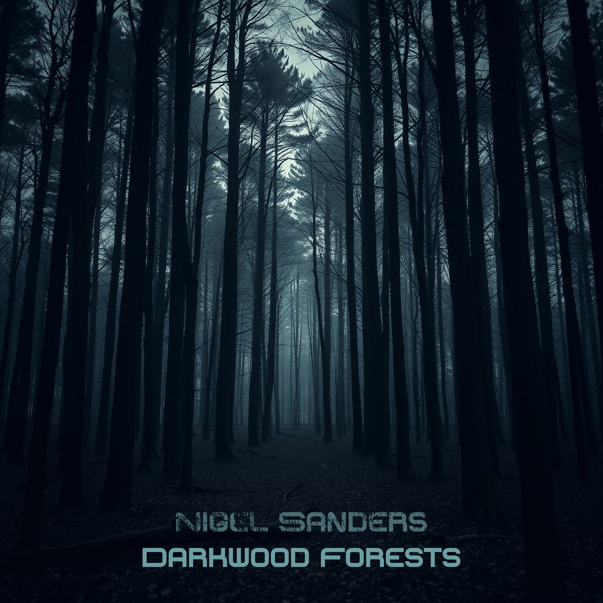 Darkwood Forests | Nigel Sanders. | Nigel Sanders
