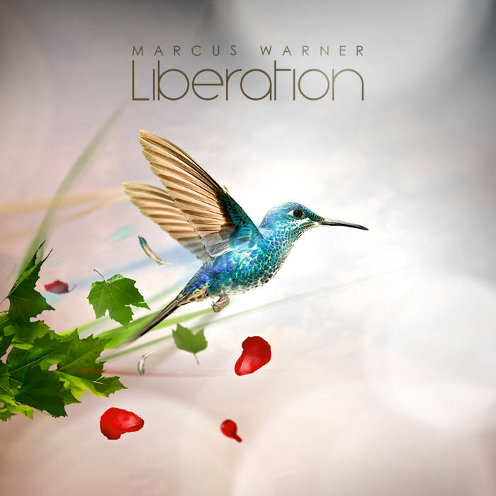 Liberation | Marcus Warner