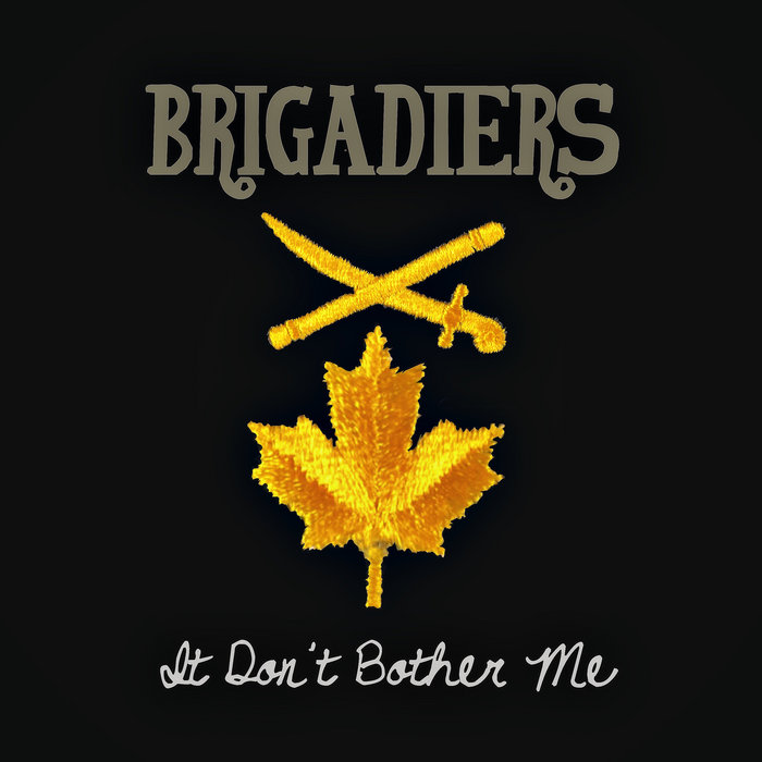 It Don't Bother Me | Brigadiers String Band