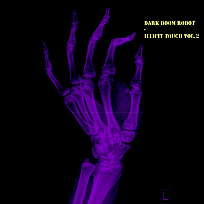 Illicit Touch Vol.2 | Dark Room Robot