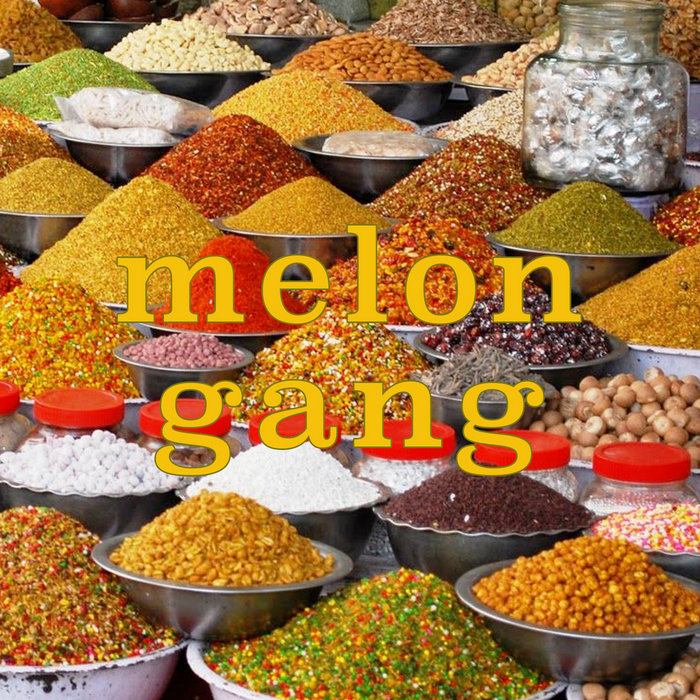 Spices of India | Melon Gang