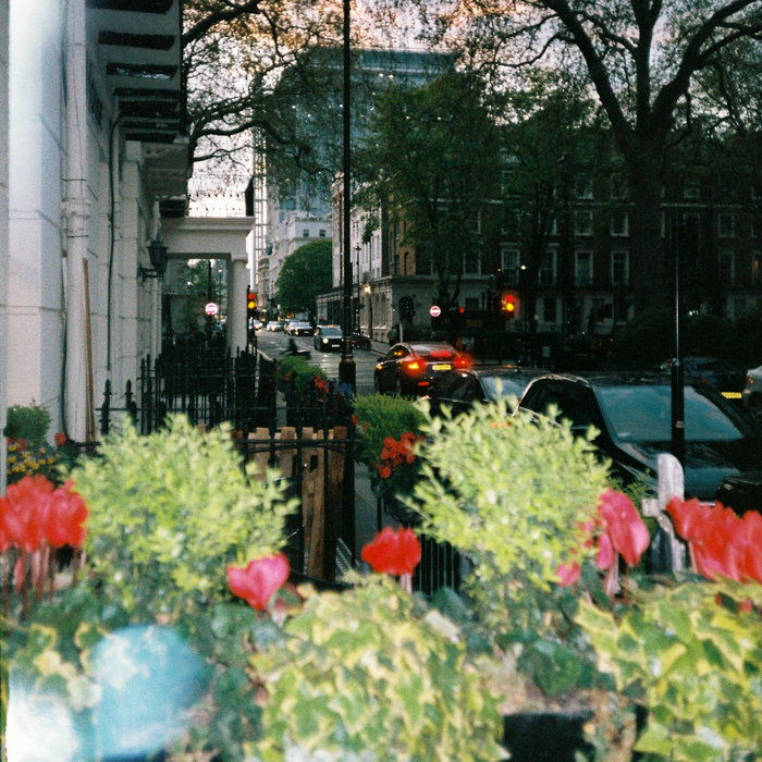 Watering A Flower | Hause Plants