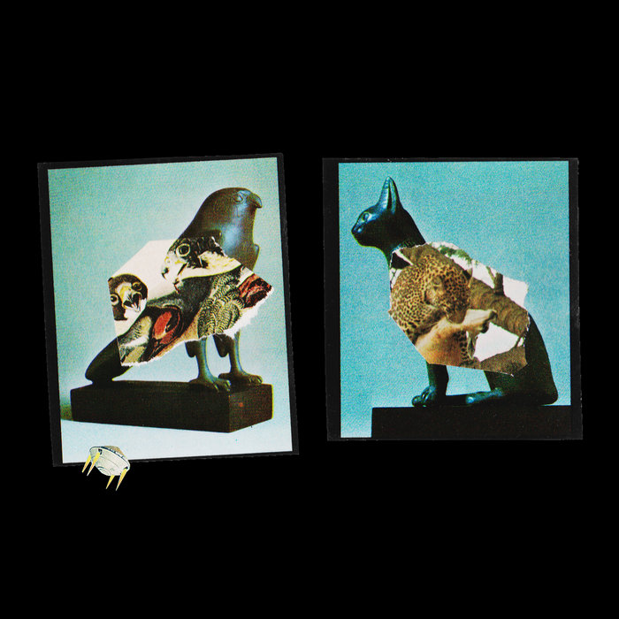 Tribute to the Nommos | Pluriverso | Absolut Shit Records