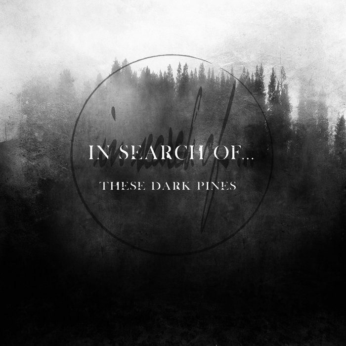 These Dark Pines | In Search Of...
